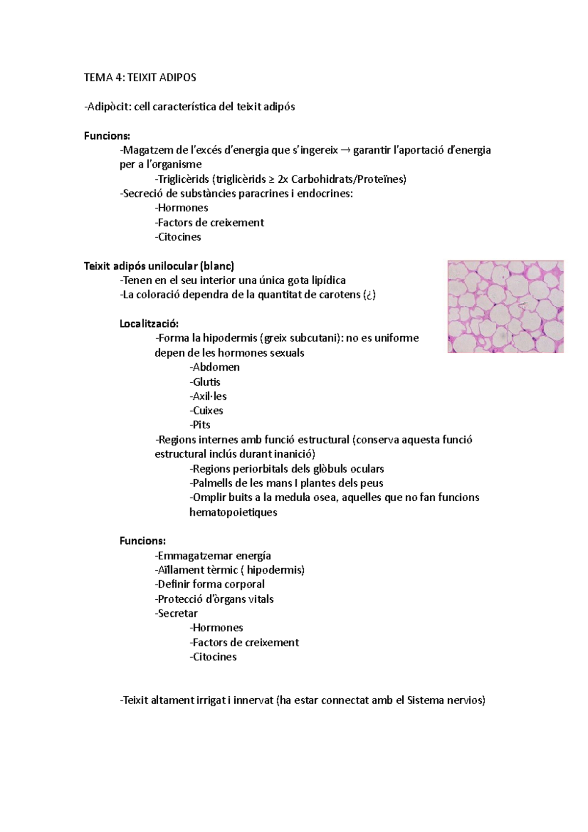 Resum TEMA 4 Histologia - TEMA 4: TEIXIT ADIPOS -Adipòcit: cell ...