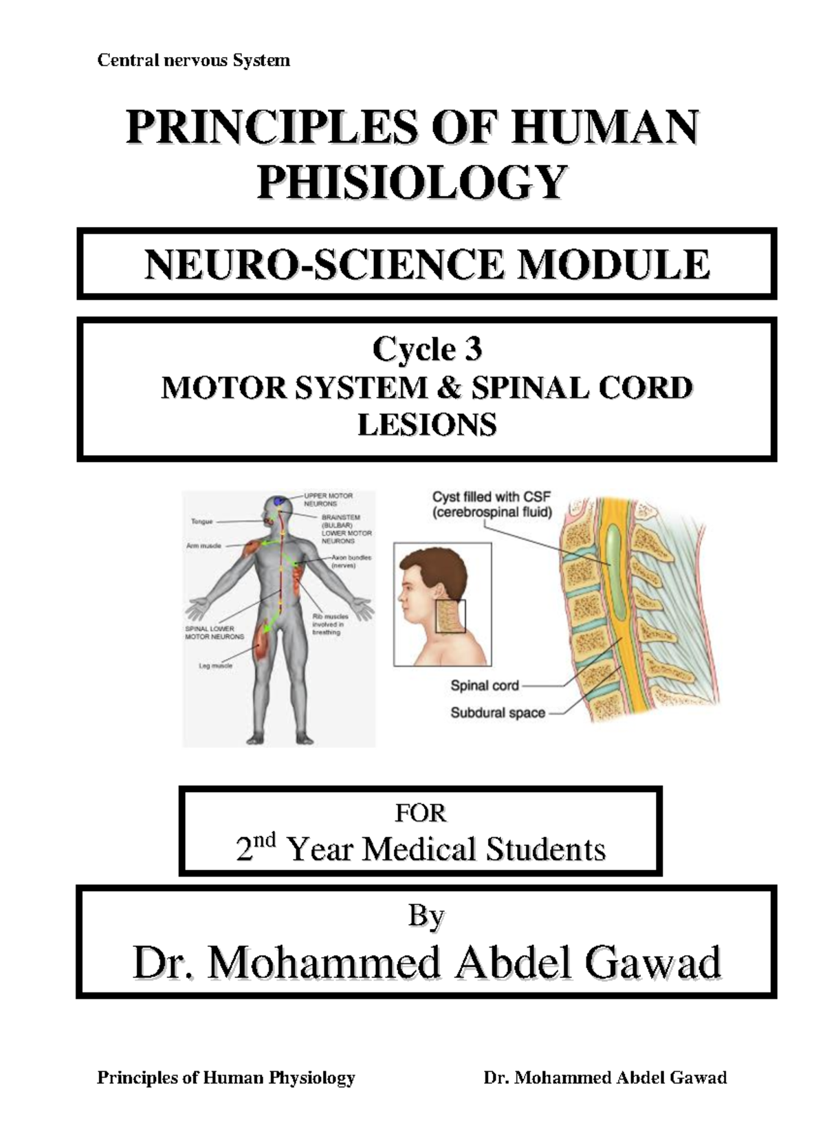 Cycle 3 - Motor system - anatomy - P PRRIINNCCIIPPLLEESS OOFF ...