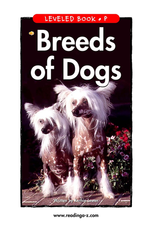 Coyote and the Star - asdfasdfasdf - LEVELEV BOOK Coyote and the Star A ...