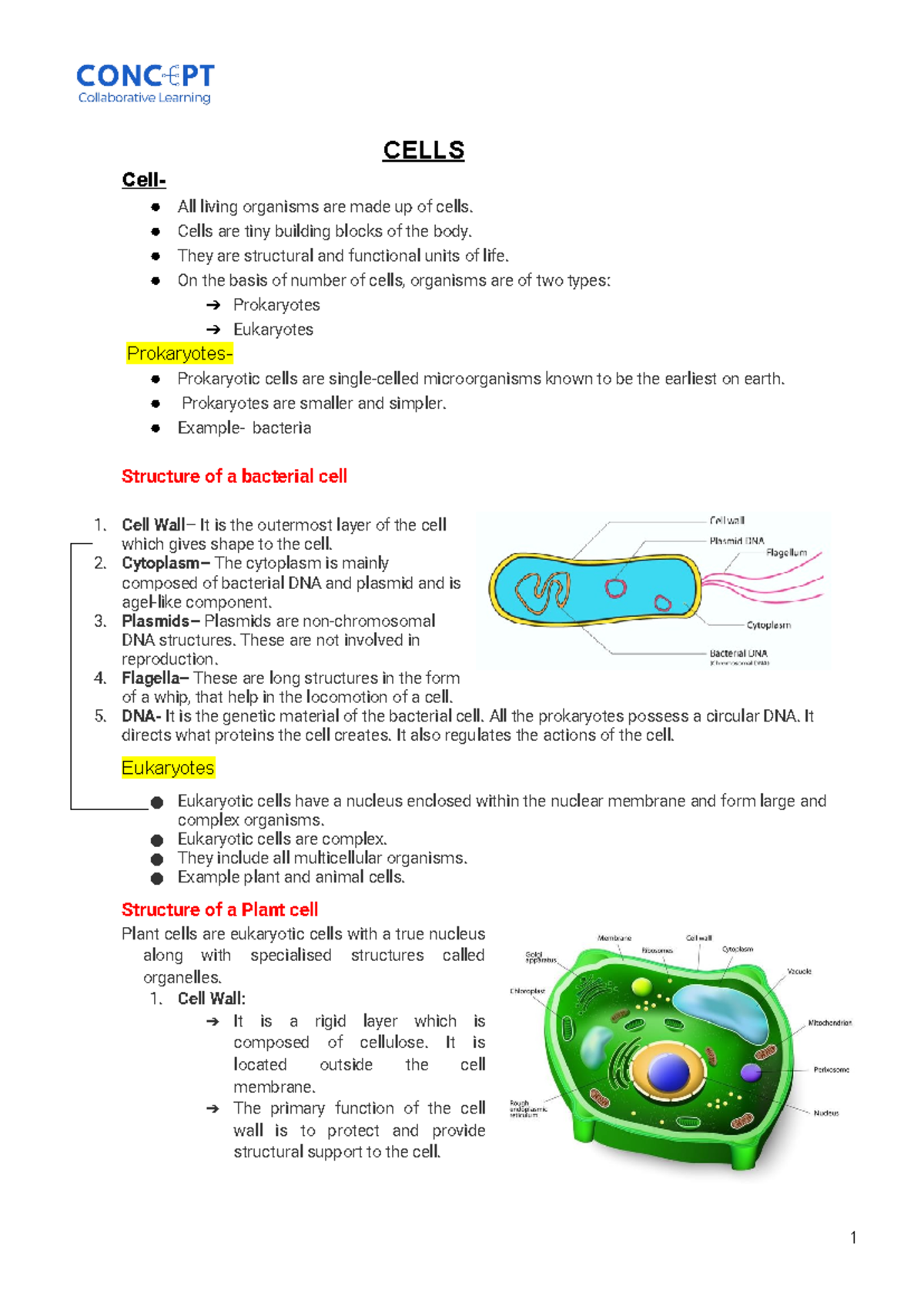 Ce LL Notes - CELLS Cell- All living organisms are made up of cells ...