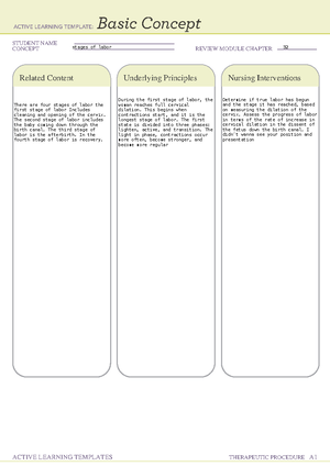 Home Safety Fall Prevention Basic Concept Map - ACTIVE LEARNING ...