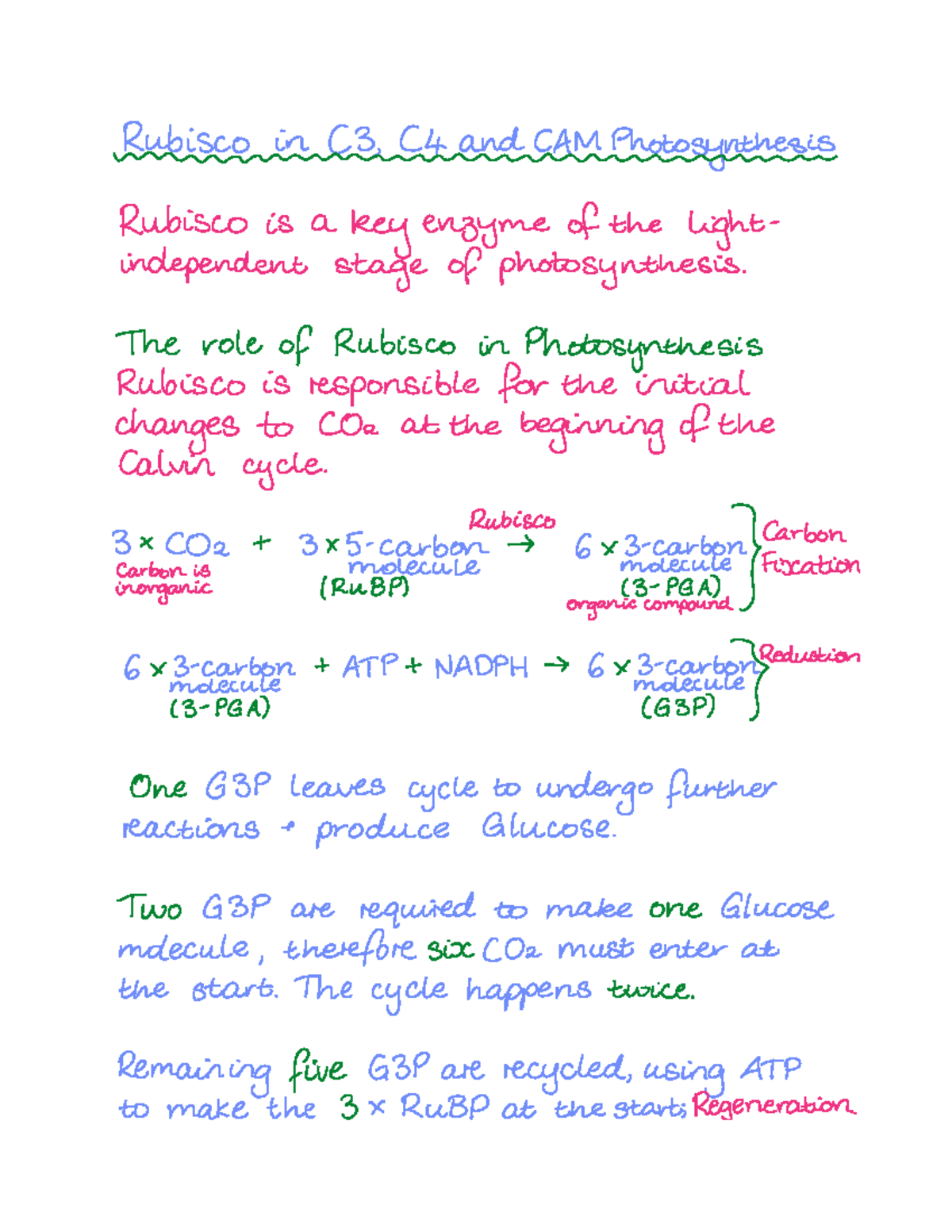 5B Rubisco in C3, C4 and CAM Photosynthesis - Rubisco in E3 CLI and CAM ...