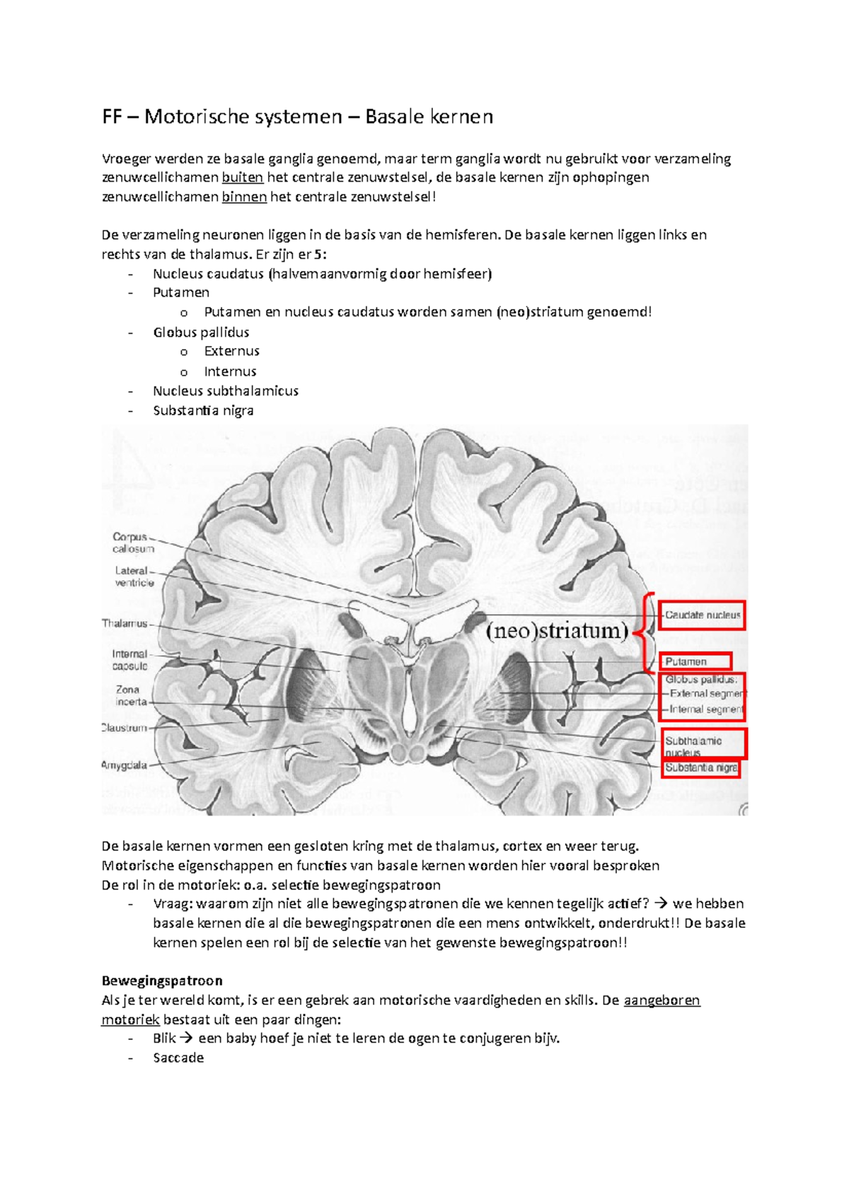 Fysiology Files - Motorische systemen - basale kernen - FF – Motorische ...
