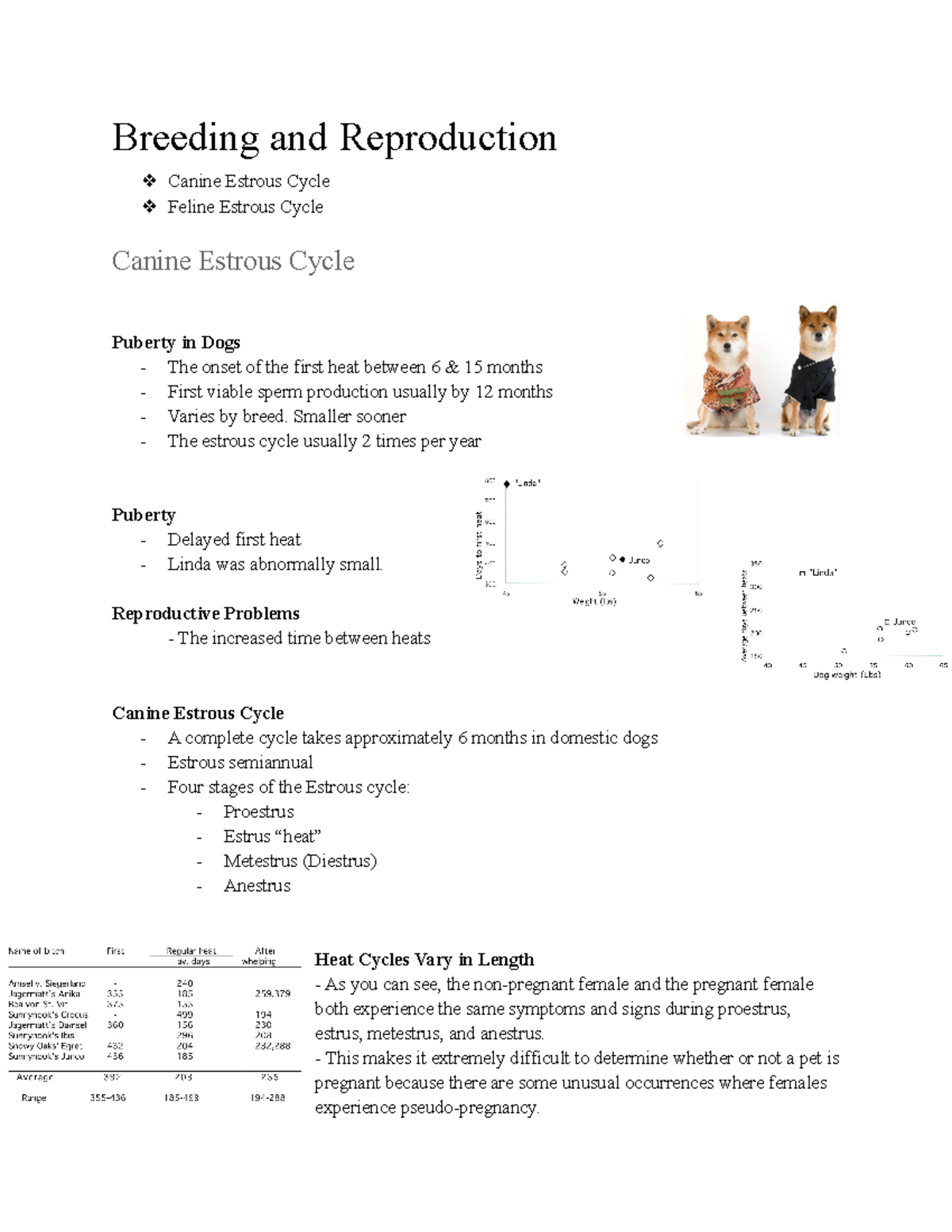 The Lifecyle complete module - Breeding and Reproduction Canine Estrous ...