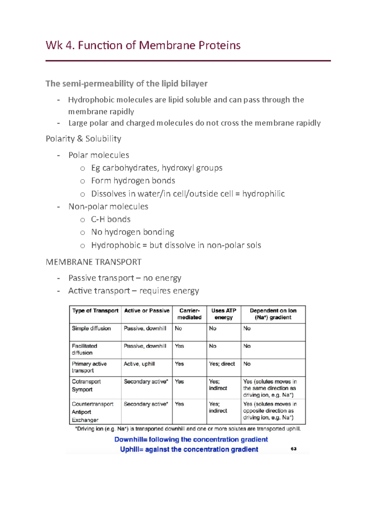 Wk 4 Functions of Membrane Proteins - Wk 4. Function of Membrane ...