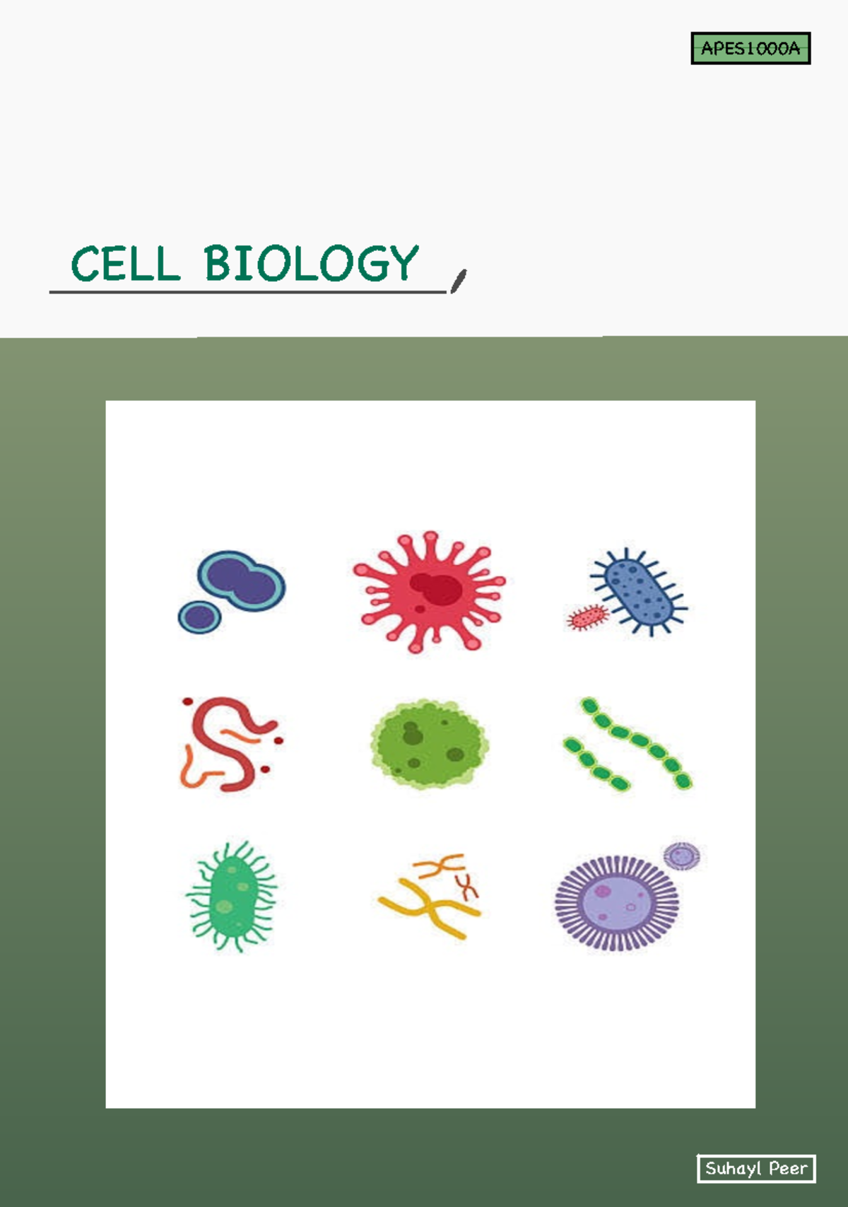 CELL Biology - CELL BIOLOGY Suhayl Peer APES1000A APES1000A - Lecture 1 ...