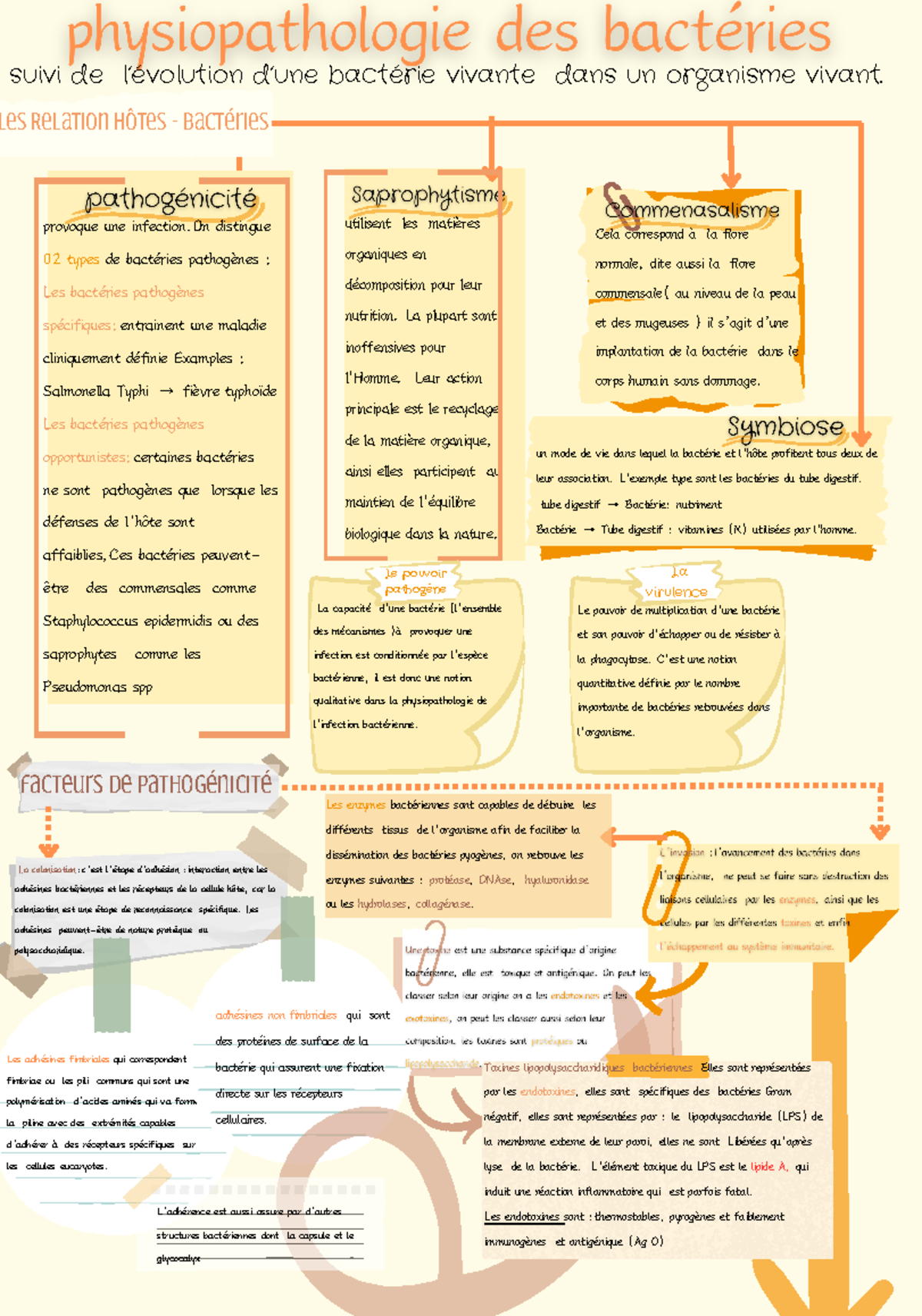 Physiopathologie des Bactéries - suivi de l’évolution d’une bactérie ...