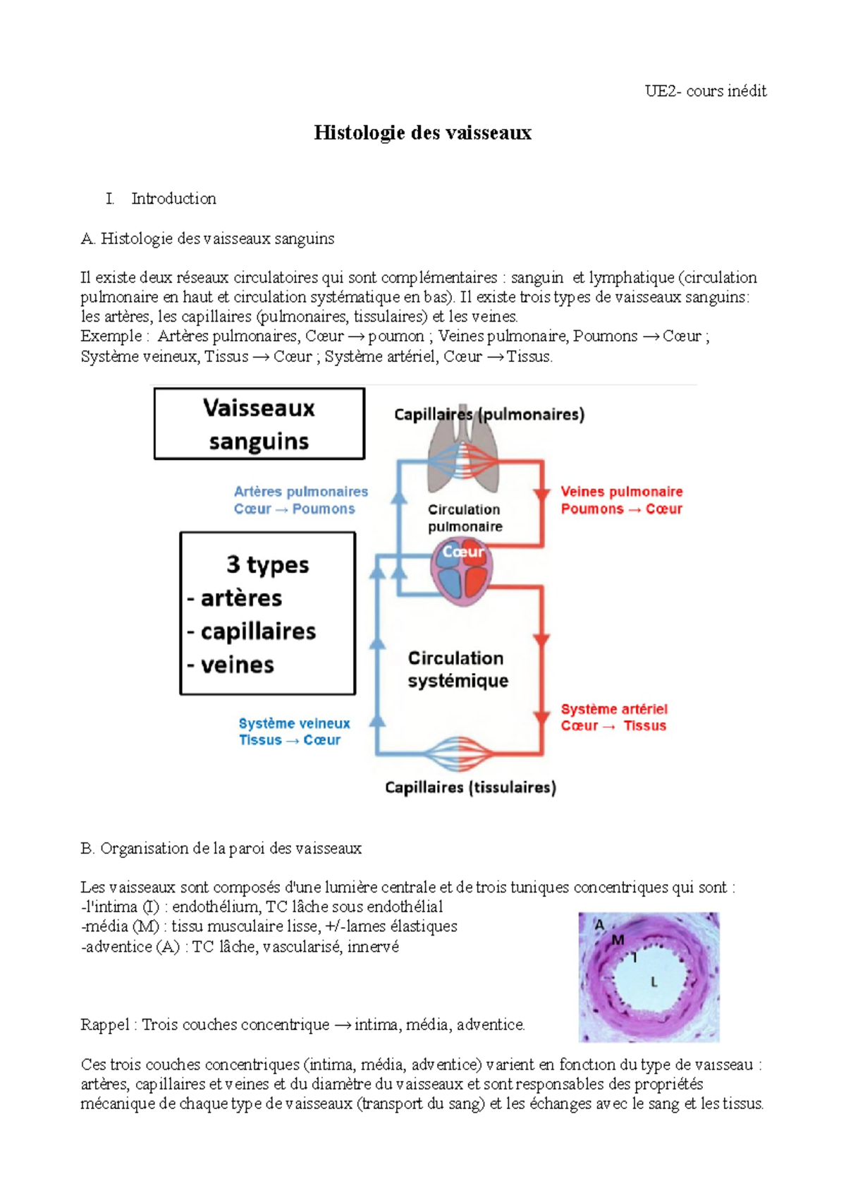 UE2 Cours vaisseaux sanguins - UE2- cours inédit Histologie des ...
