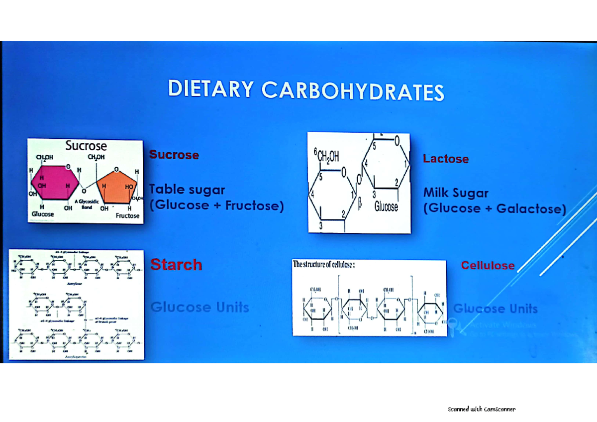 Biochem 202 lec 1 - Biochemistry - Studocu