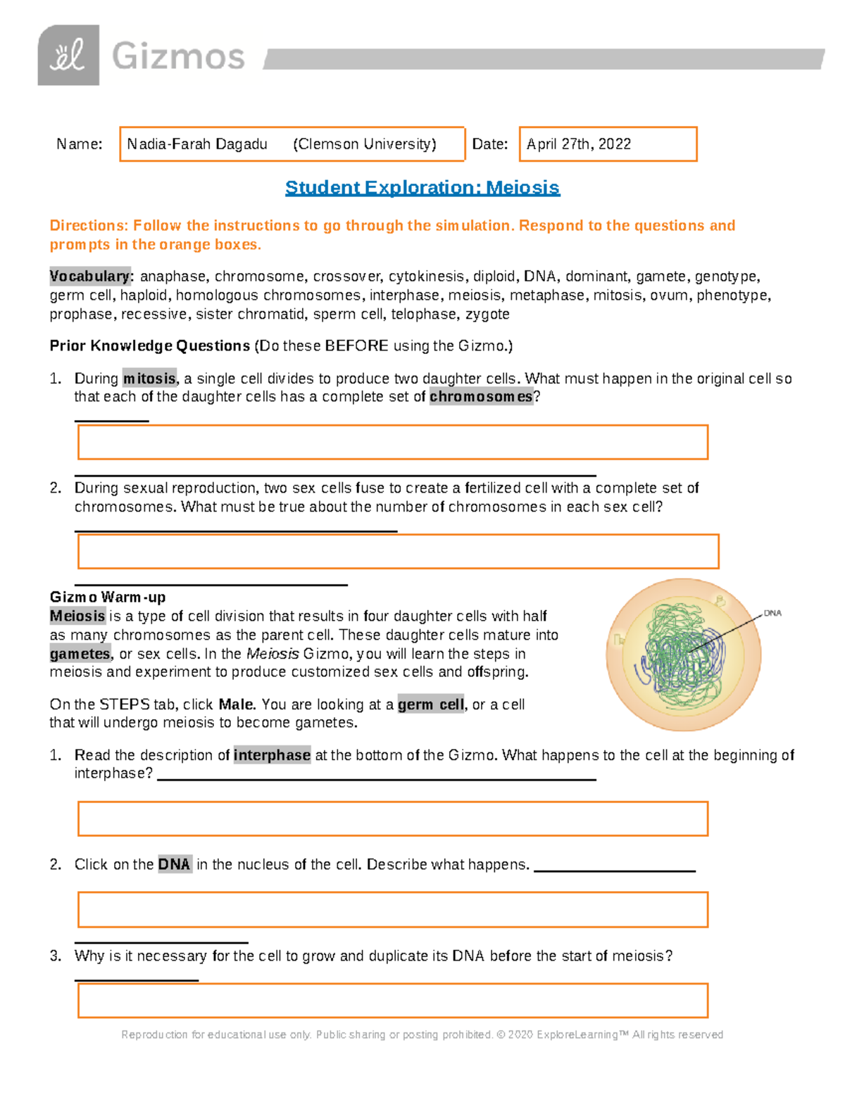 Meiosis Study Guide - Studocu