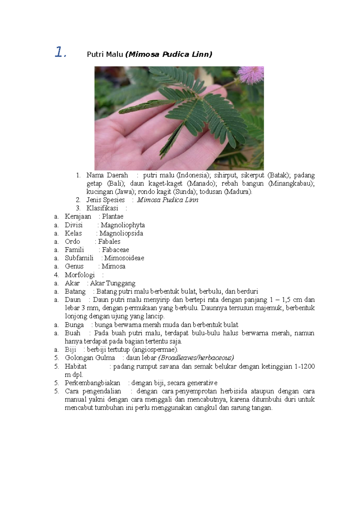 Gulma rumput teki - Tugas - 1. Putri Malu (Mimosa Pudica Linn) Nama ...
