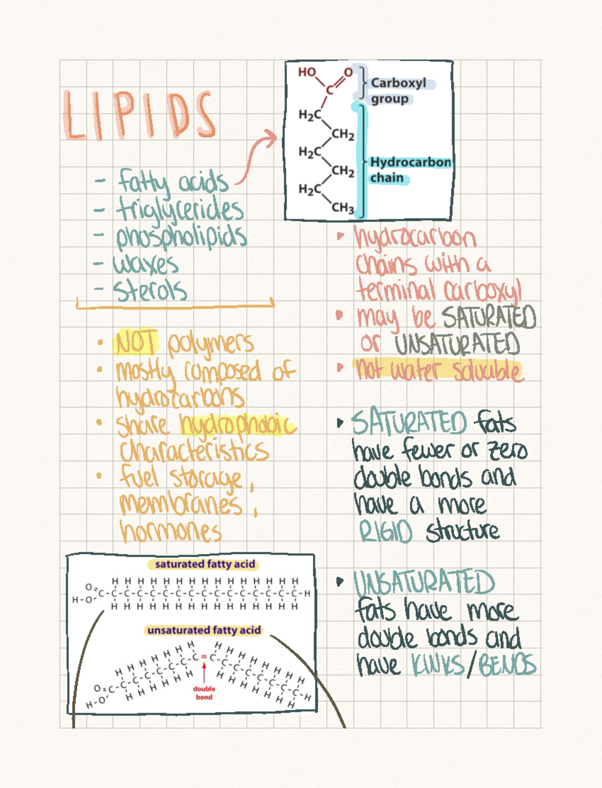 Lecture 3 Notes - LIPIDS fattyacids triglycerides phospholipids Taron ...