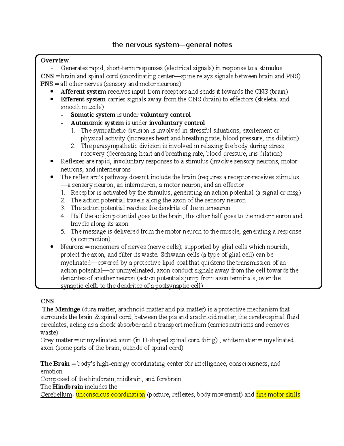 The nervous system-general notes - the nervous system—general notes ...
