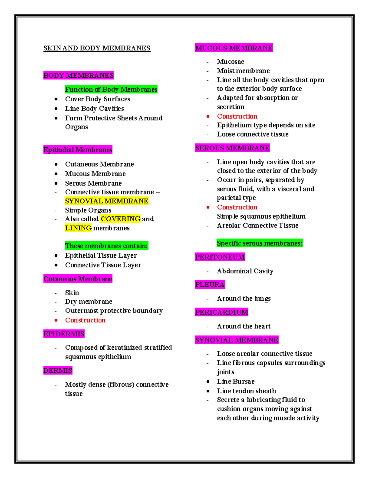 Anaphy- Reviewer - transes - SKIN AND BODY MEMBRANES BODY MEMBRANES ...