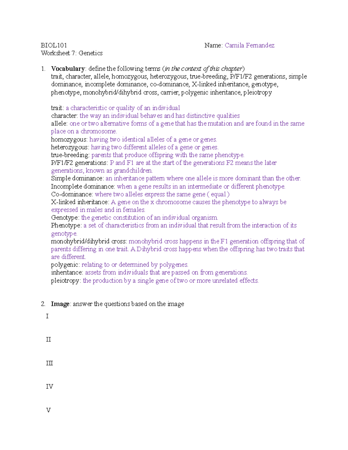 Worksheet 7 BIO - BIOL101 Name: Camila Fernandez Worksheet 7: Genetics ...