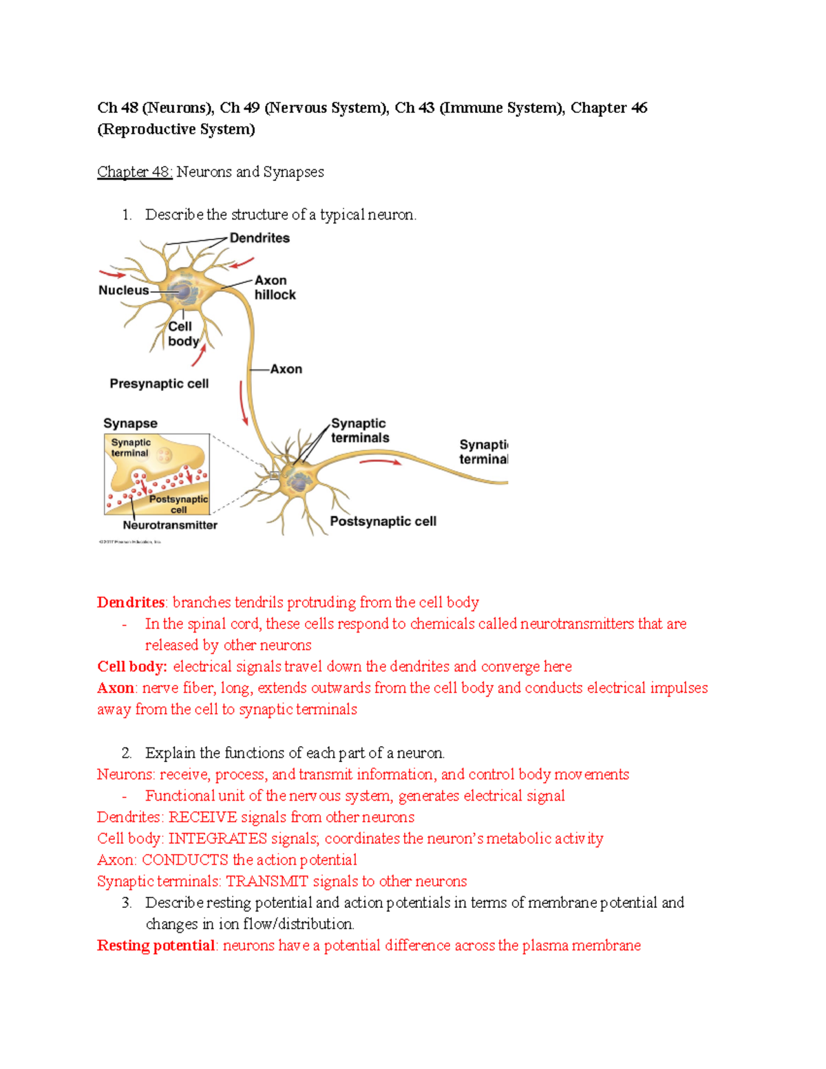 Bio 1110 Exam 3 - Ch 48 (Neurons), Ch 49 (Nervous System), Ch 43 ...