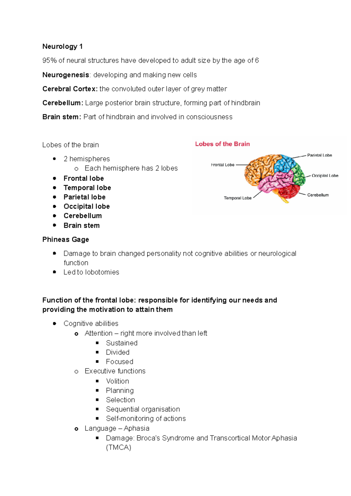 Neurology - Motivation 2. Decision making 3. Cost-benefits calculation ...