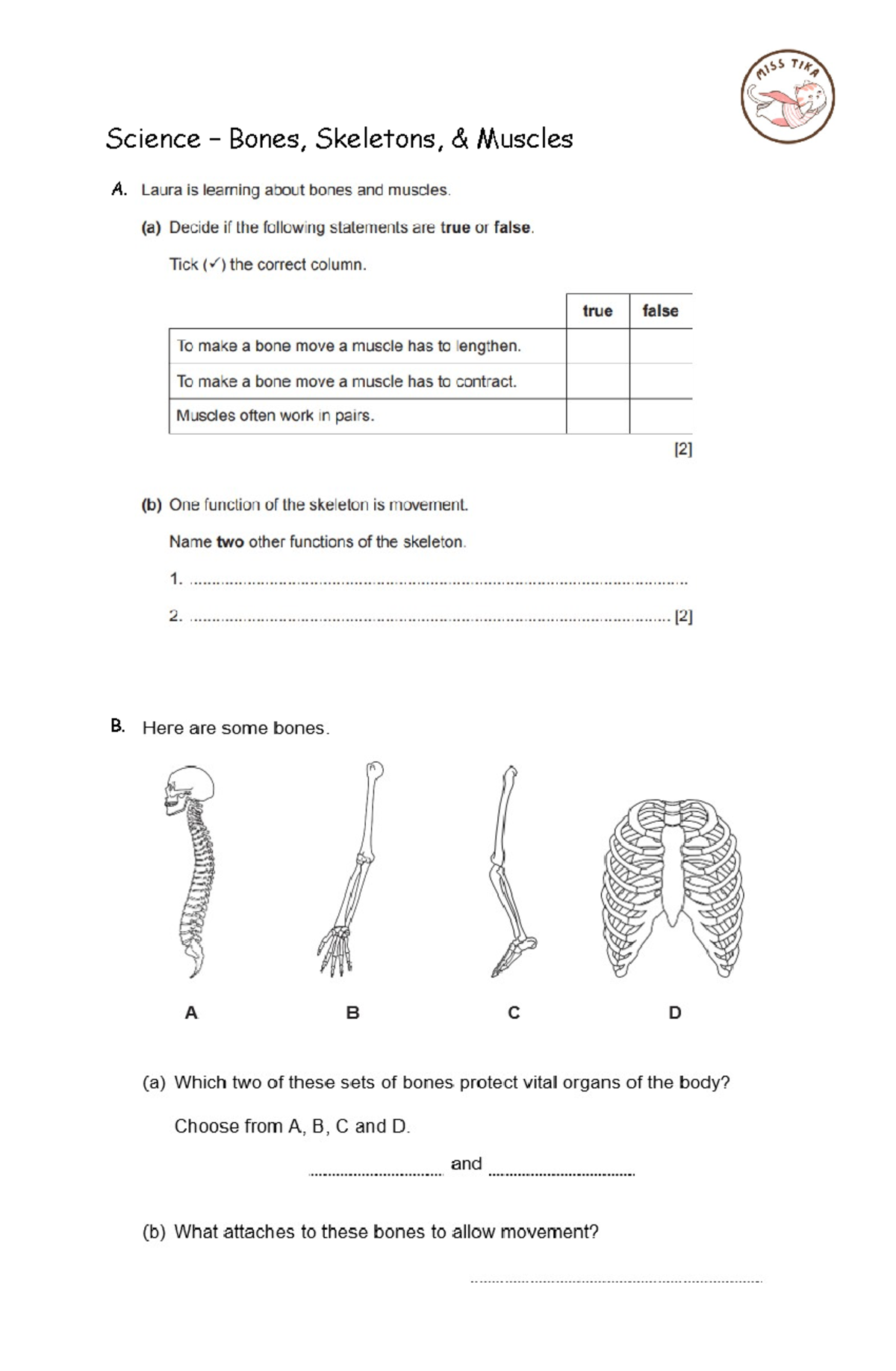 Cambridge Test - Science - Bones, Skeletons, & Muscles (grade 4 ...