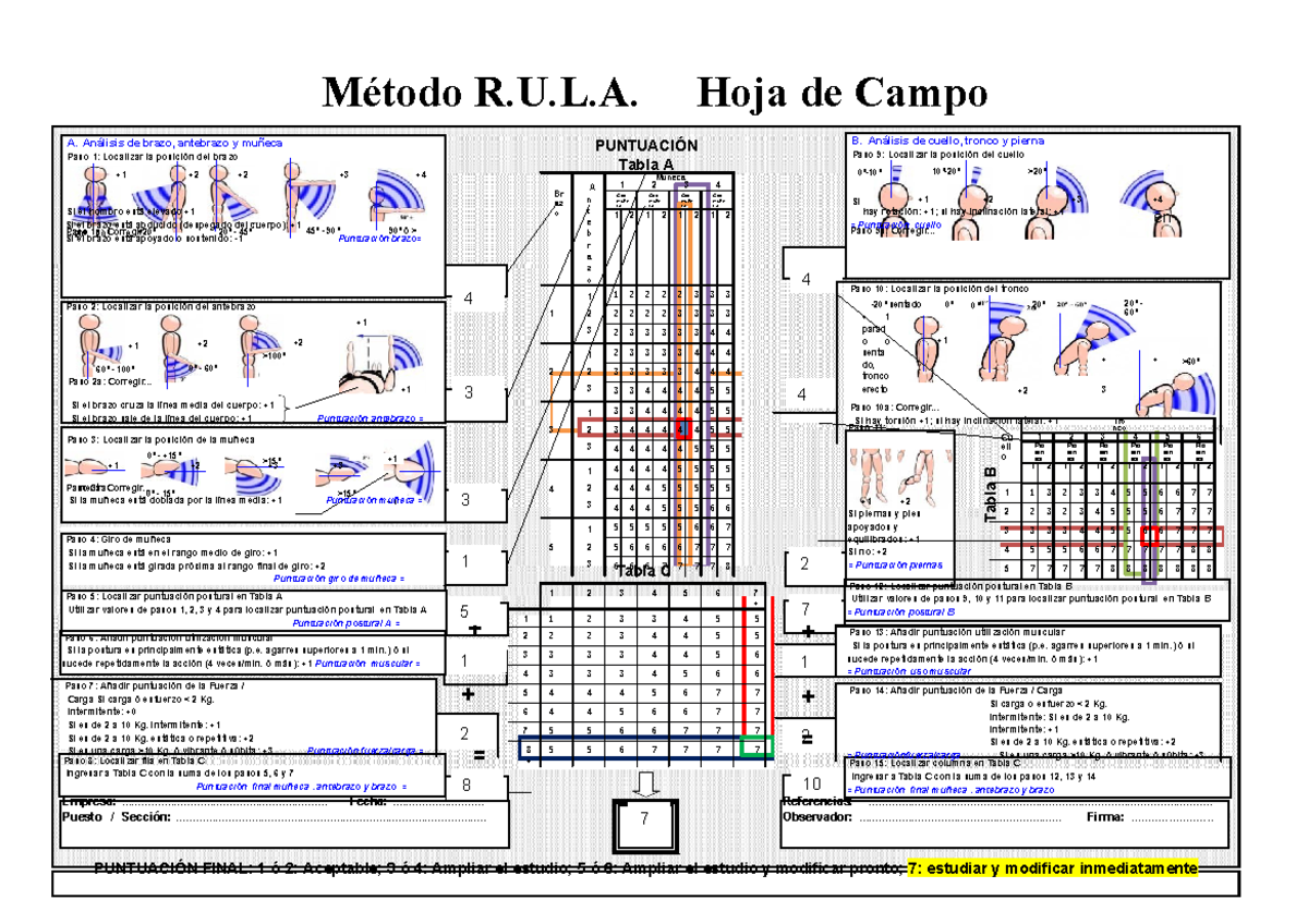 Metodo RULA - xdxdxdxdxdxdxd - Método R.U.L. Hoja de Campo PUNTUACIÓN ...