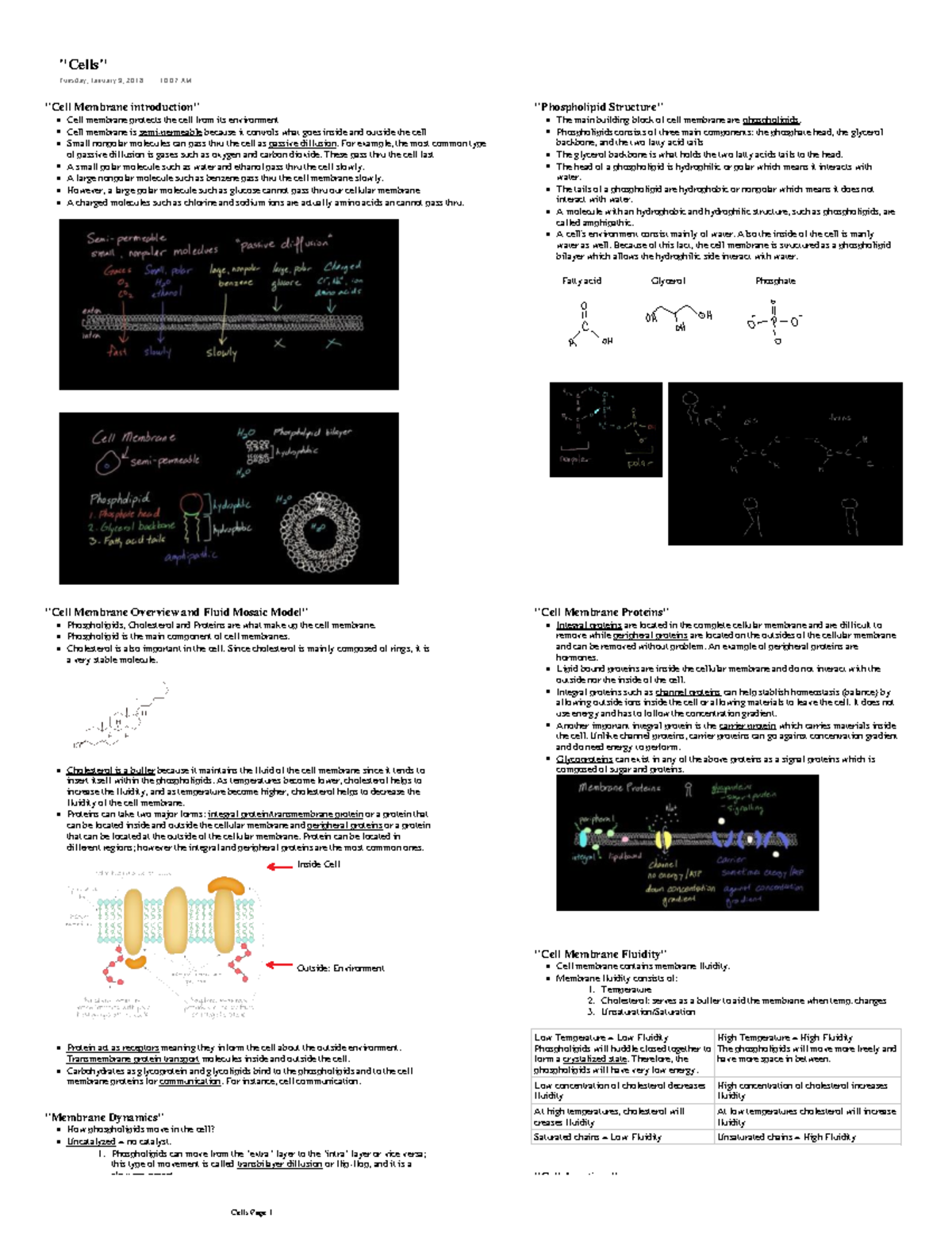 Cells - Summary Cell Biology - MCAT prep - Warning: TT: undefined function: 32 Warning: TT ...
