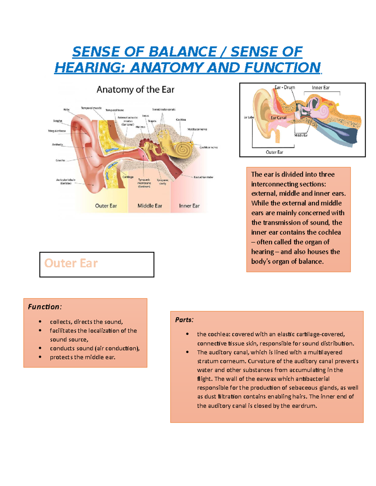Sense OF Balance - Knauss class - SENSE OF BALANCE / SENSE OF HEARING ...