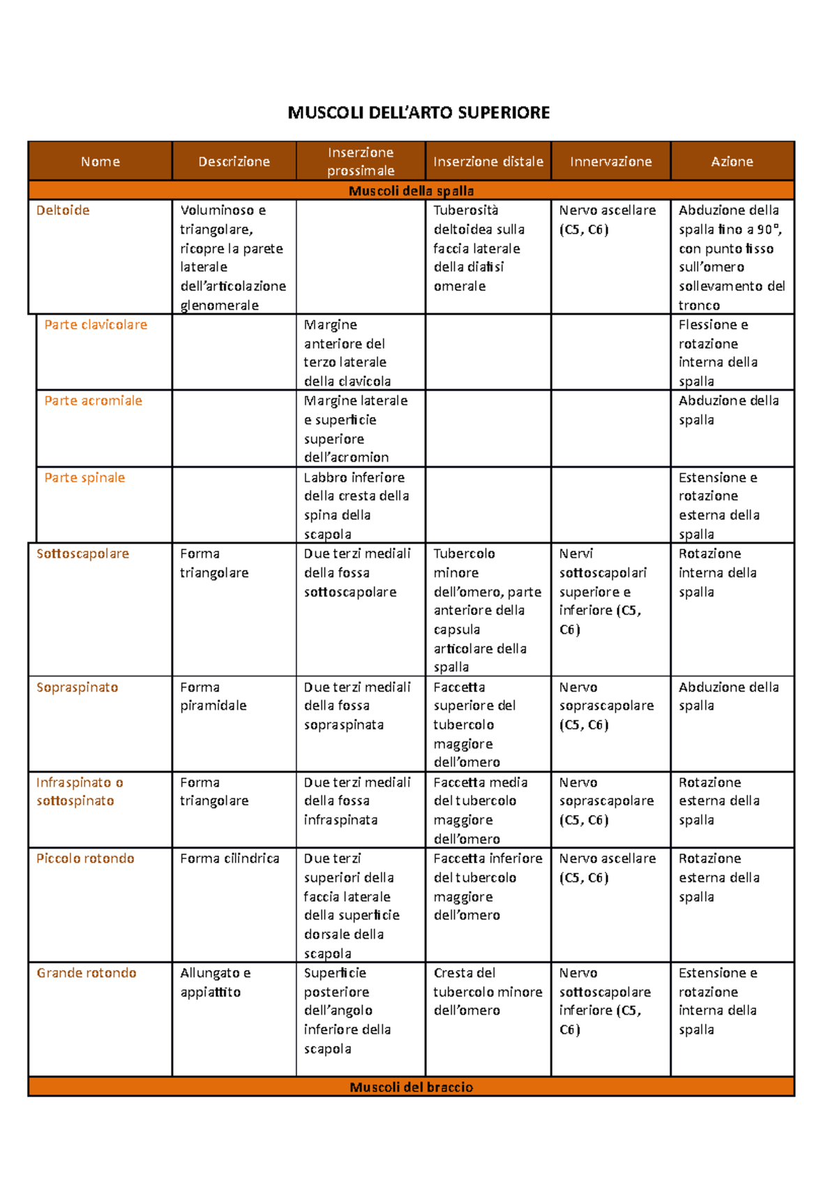 Tabella dei Muscoli DELL'ARTO Superiore - MUSCOLI DELL’ARTO SUPERIORE ...