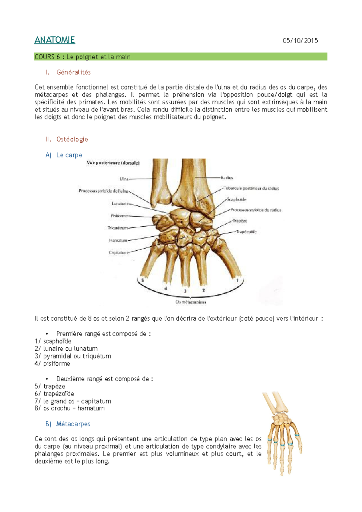 Anatomie 6 Le poignet et la main - ANATOMIE 05/10/ COURS 6 : Le poignet ...
