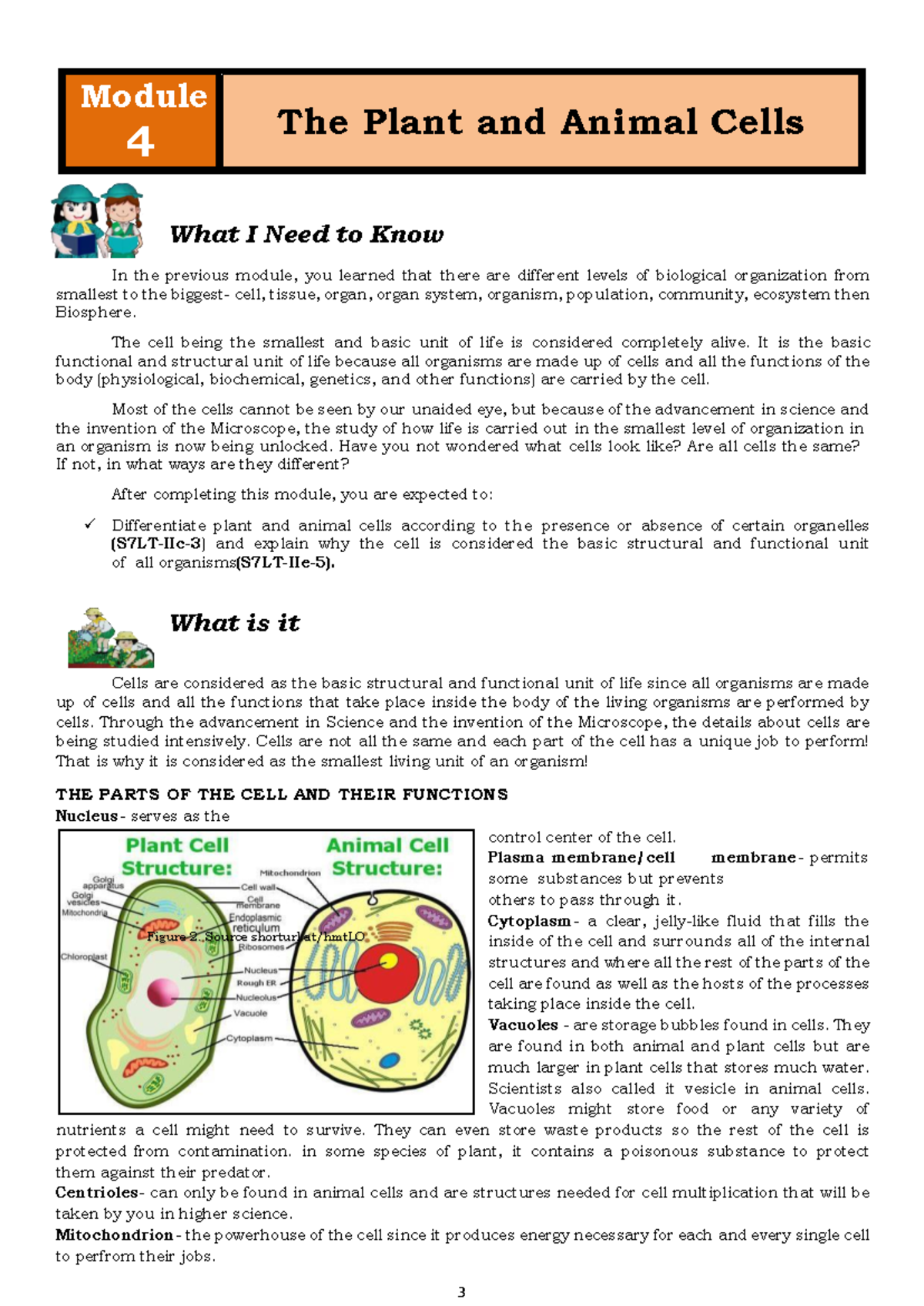 Science-module - sadwadasd - Module 4 The Plant and Animal Cells What I ...