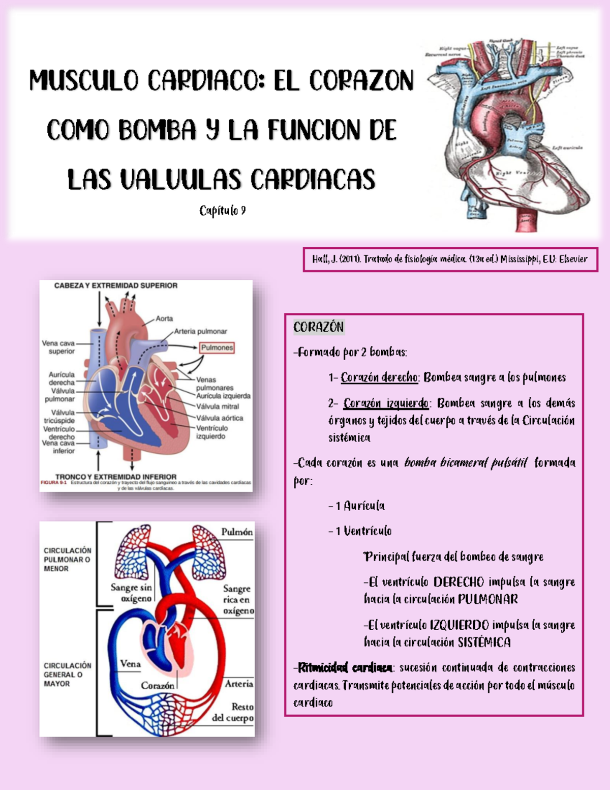 Capítulo 9, Corazón como bomba - Ñ