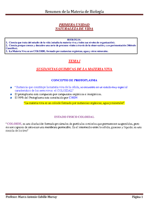 Grupos dentarios - UNIVERSIDAD DE GUAYAQUIL FACULTAD PILOTO DE ...
