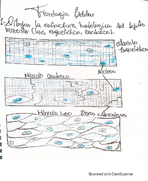 Libro Soporte Vital Basico DE AHA 2013 - i ii Subcomité de SVB/BLS 2010 ...