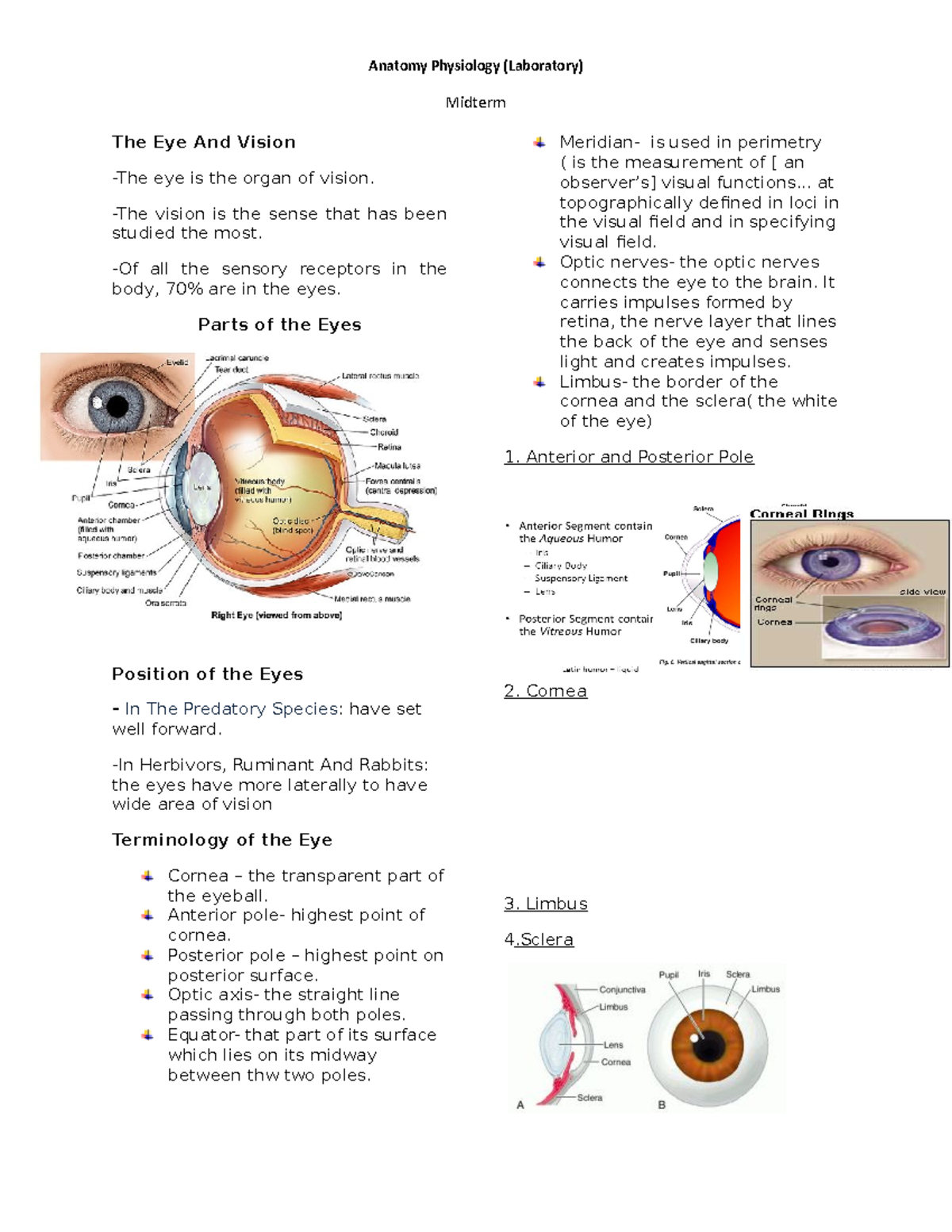 Anaphy Lab eye and vision - Anatomy Physiology (Laboratory) Midterm The ...