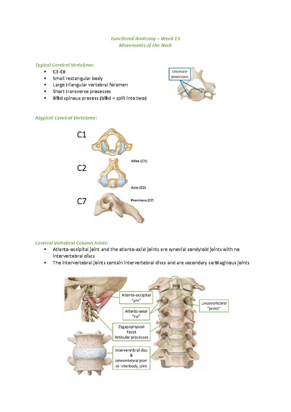 FA - Week 13 Neck - Neck region and movements lecture notes ...