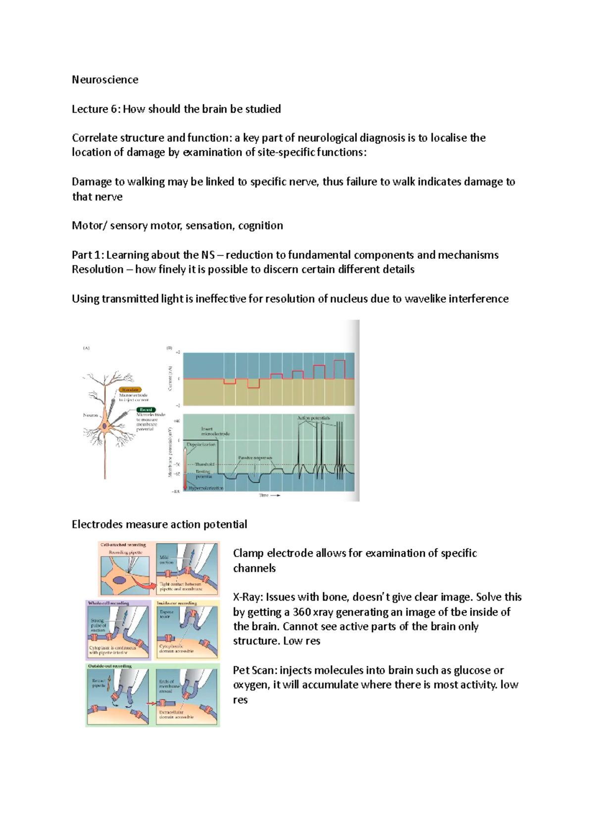 Neuroscience notes - Neuroscience Lecture 6: How should the brain be ...