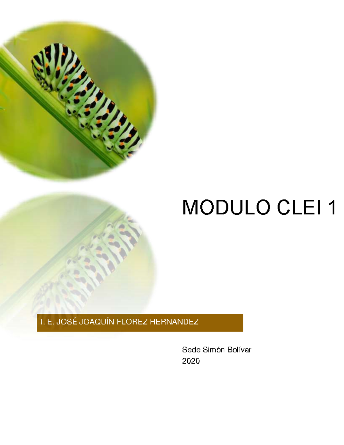 Modulo CLEI 1 - MODULO CLEI 1 I. E. JOSÉ JOAQUÍN FLOREZ HERNANDEZ Sede ...