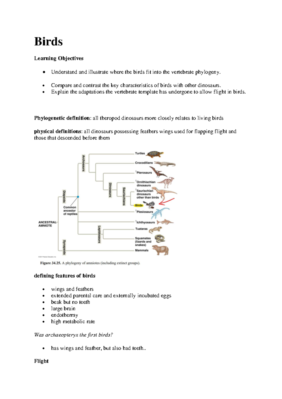 Bird Notes - Birds Learning Objectives - Understand and illustrate ...