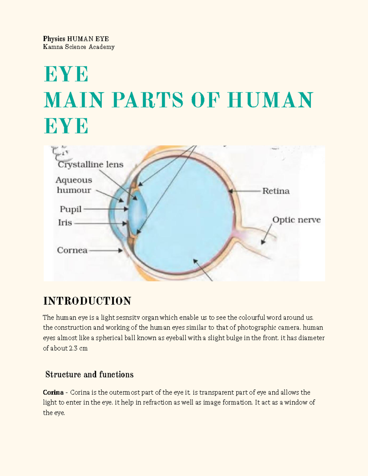 Essay - Physics HUMAN EYE Kamna Science Academy EYE MAIN PARTS OF HUMAN ...