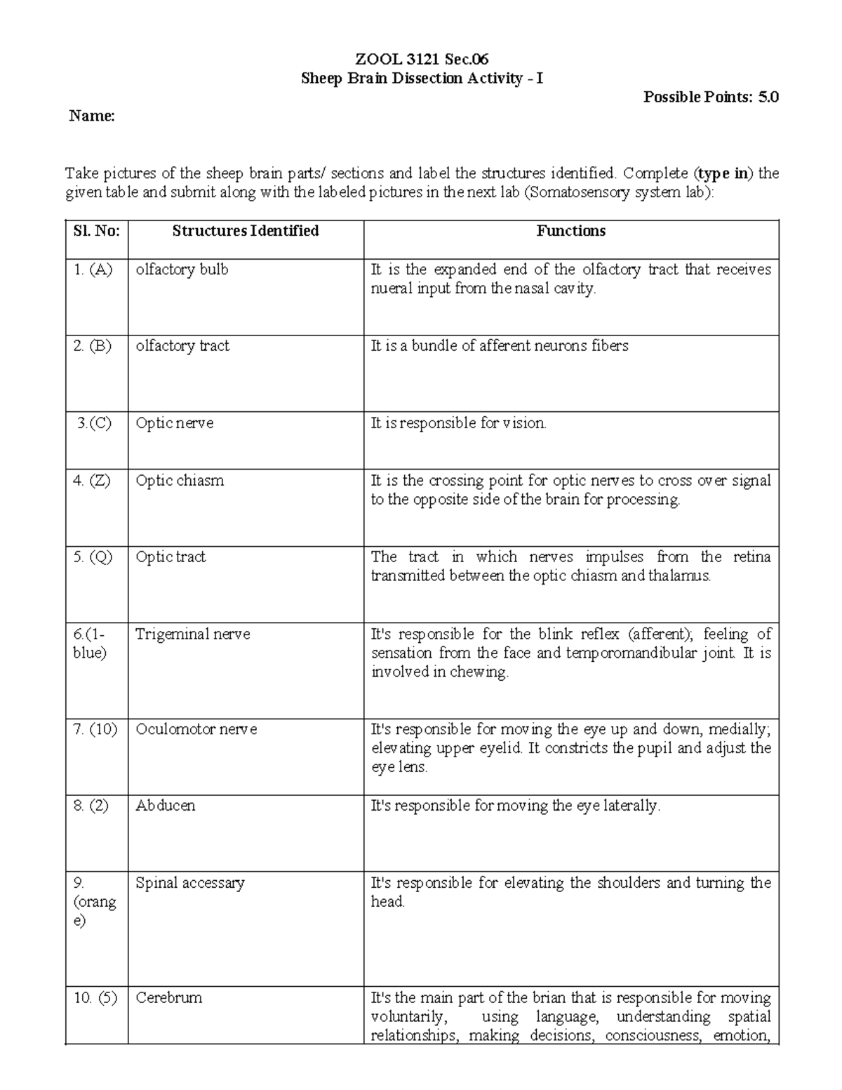 Sheep Brain Dissection Activity I - ZOOL 3121 Sec. 06 Sheep Brain ...