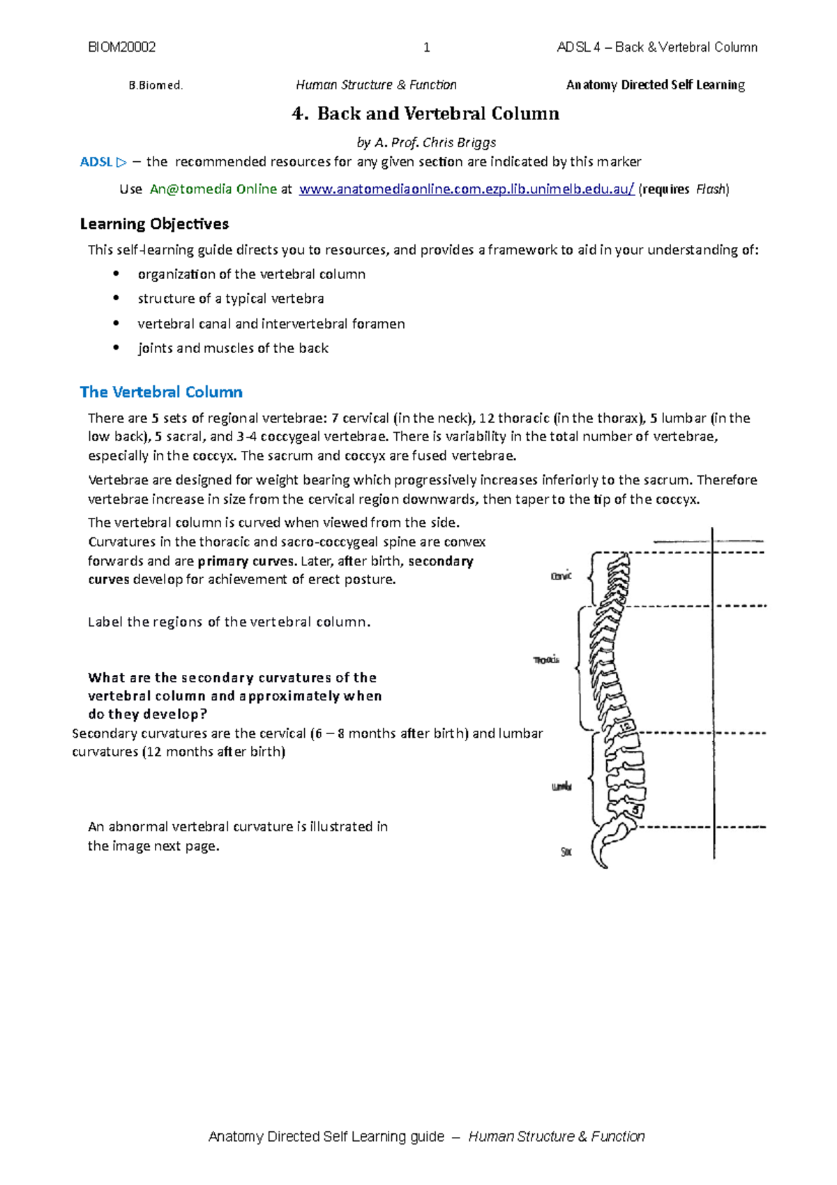 ADSL4 Back-Vertebral Worksheet - BIOM20002 1 ADSL 4 – Back & Vertebral ...
