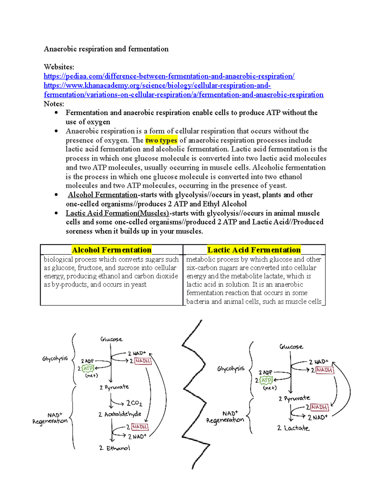 Anaerobic respiration and fermentation - Anaerobic respiration and ...