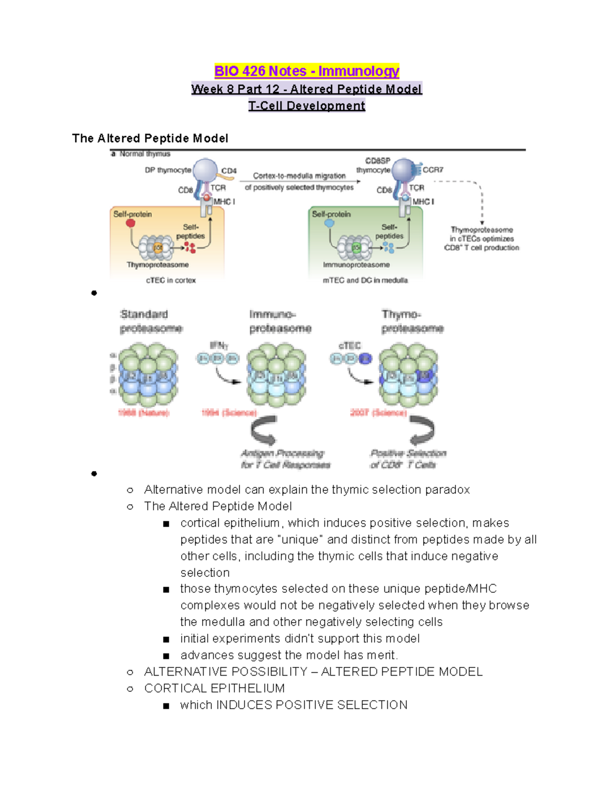 BIO 426 Week 8 Lecture Notes Part 12 - Altered Peptide Model - BIO 426 ...