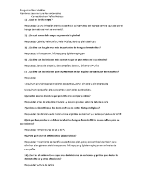Fialoconidios O Fialosporas - Tarea: Características e Imágenes ...