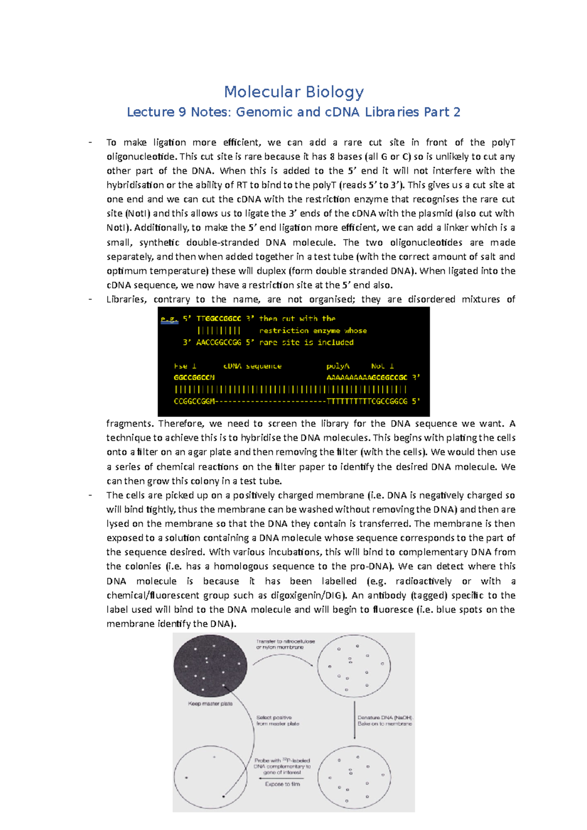 Lecture 9 Notes (Genomic and c DNA Libraries Part 2) - Molecular ...