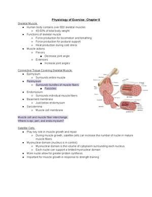 Chaper 5 Ex Phys Notes - KINE 4312 - Studocu