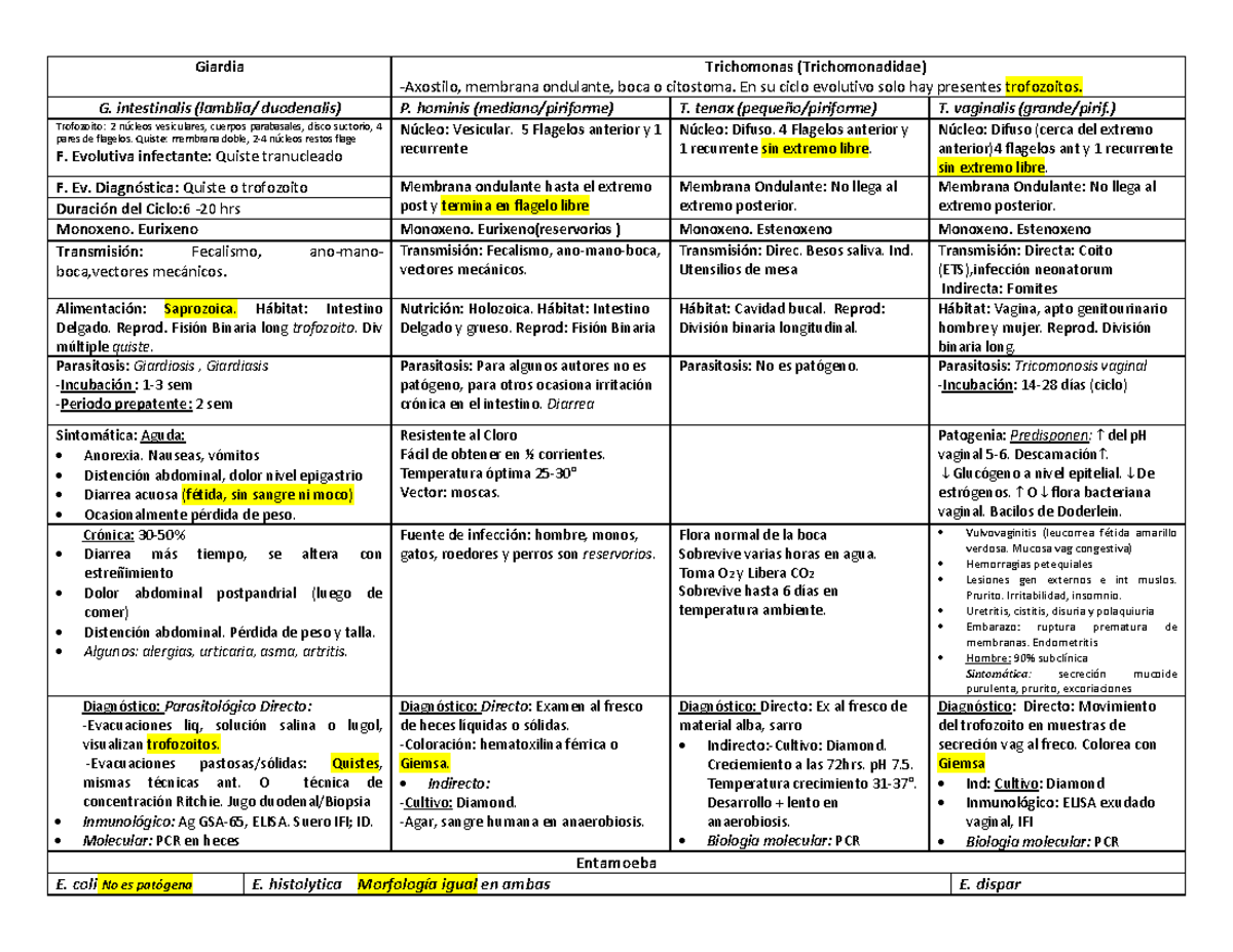 Resumen de para - Giardia Trichomonas (Trichomonadidae) - Axostilo ...