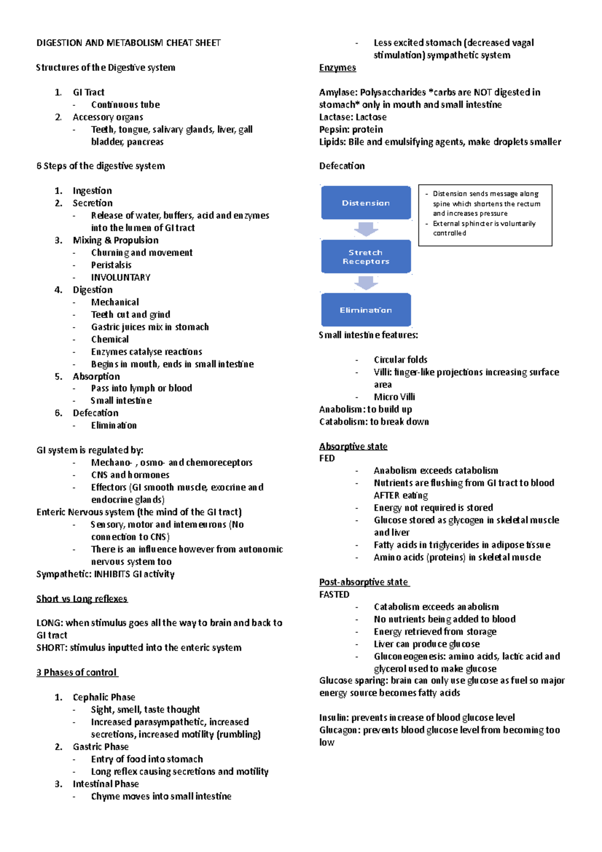 Digestion AND Metabolism Cheat Sheet - DIGESTION AND METABOLISM CHEAT ...