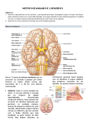 Tics 1 - Tics s1 - TIC 1 Qual a importância do revestimento mielínico ...