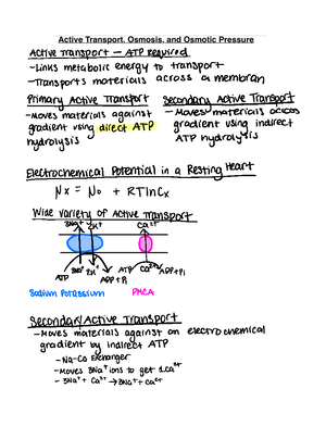 Lecture 10 - Propagation of Action Potentials - Propagation of Action ...
