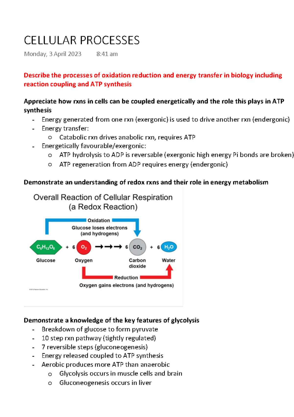 Cellular Processes Notes - Describe the processes of oxidation ...