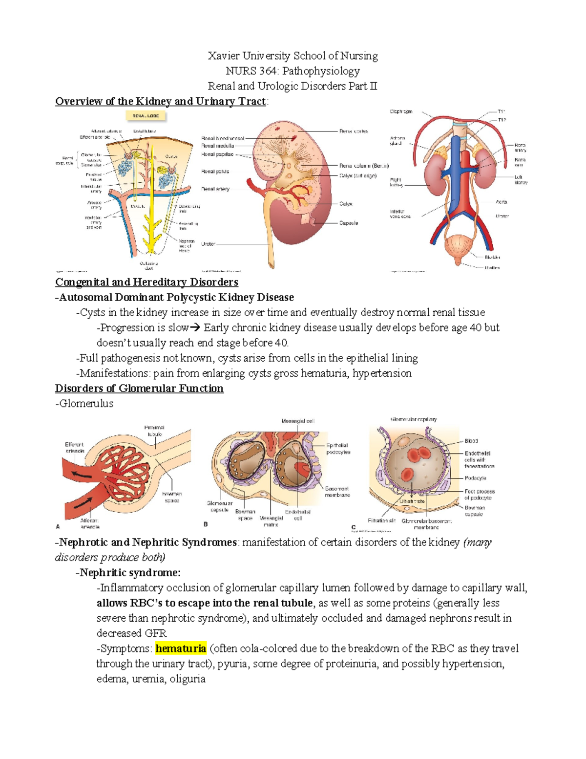 Renal and Urologic Disorders notes II Answers - Xavier University ...